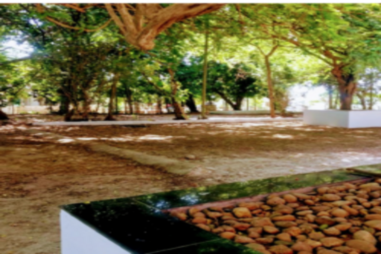 Unwynd Ambiences - Gorgeous traditional Kerala house with a nadumuttam